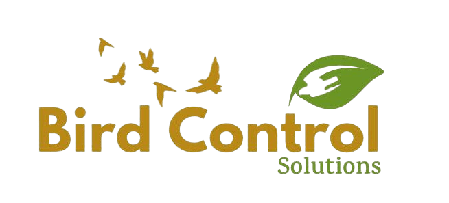 bird control systems ltd